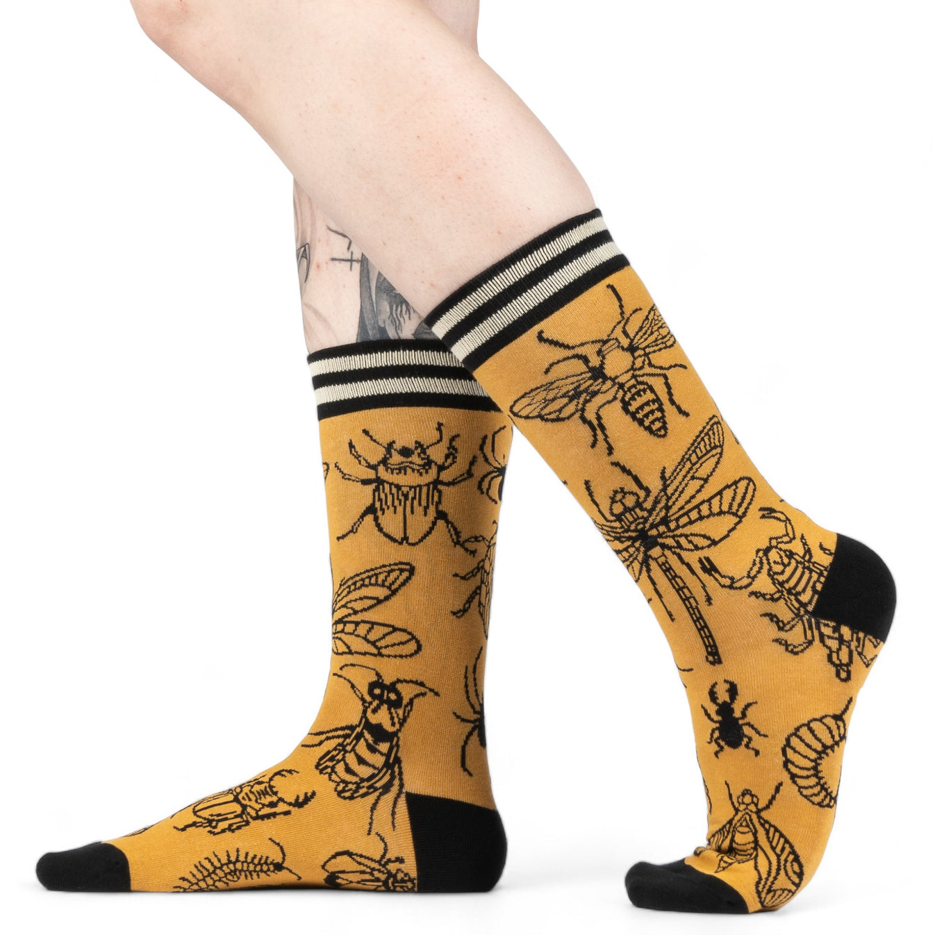 Arcane Magic Sock Pack | 5 Designs | FootClothes